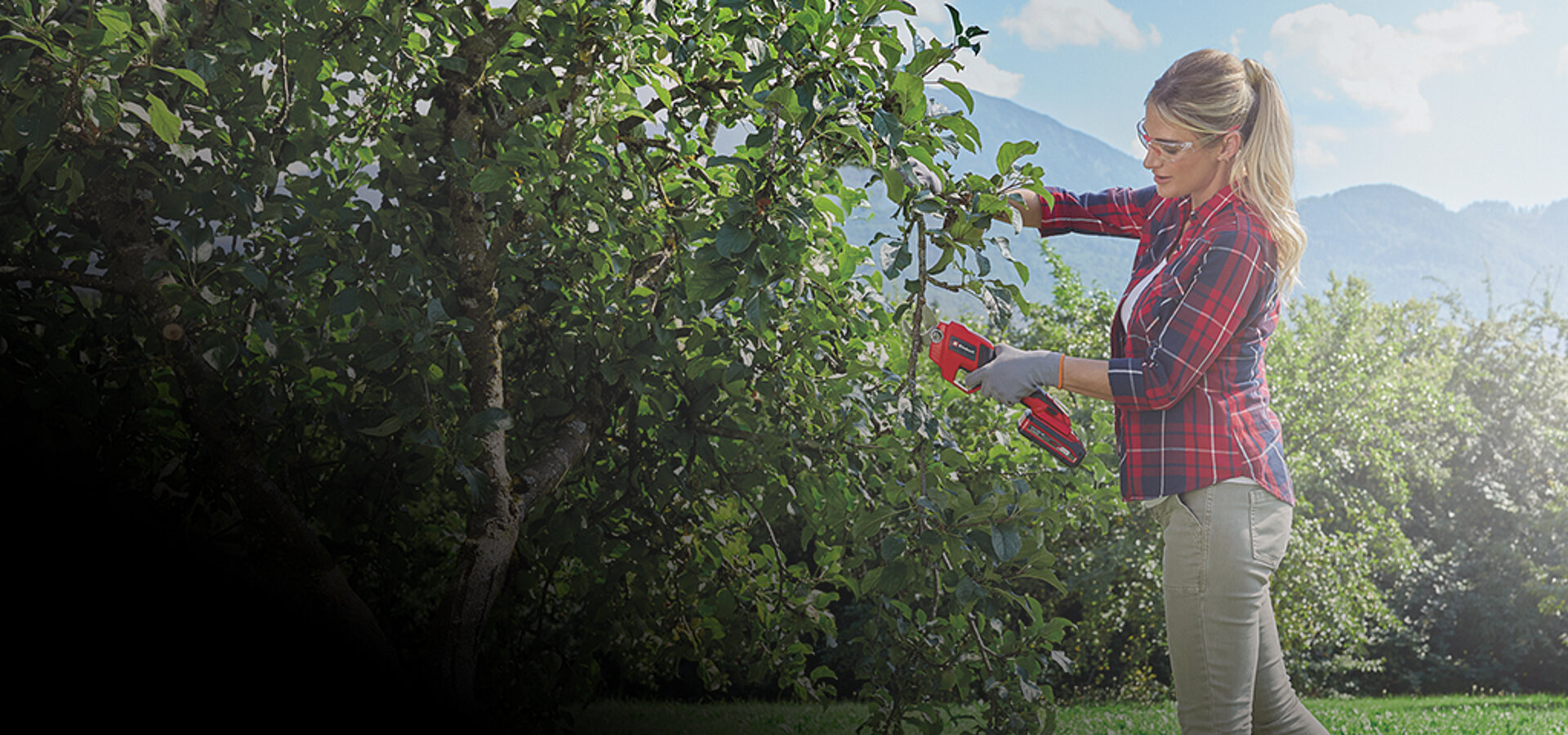 Premium tools for DIY enthusiasts and gardeners | Einhell.ca